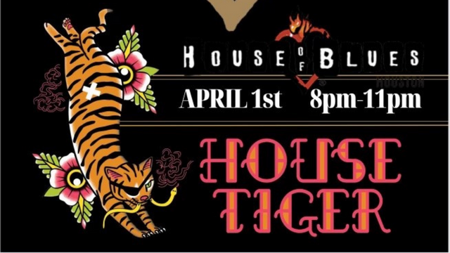 House Tiger in the Foundation Room | House of Blues Houston